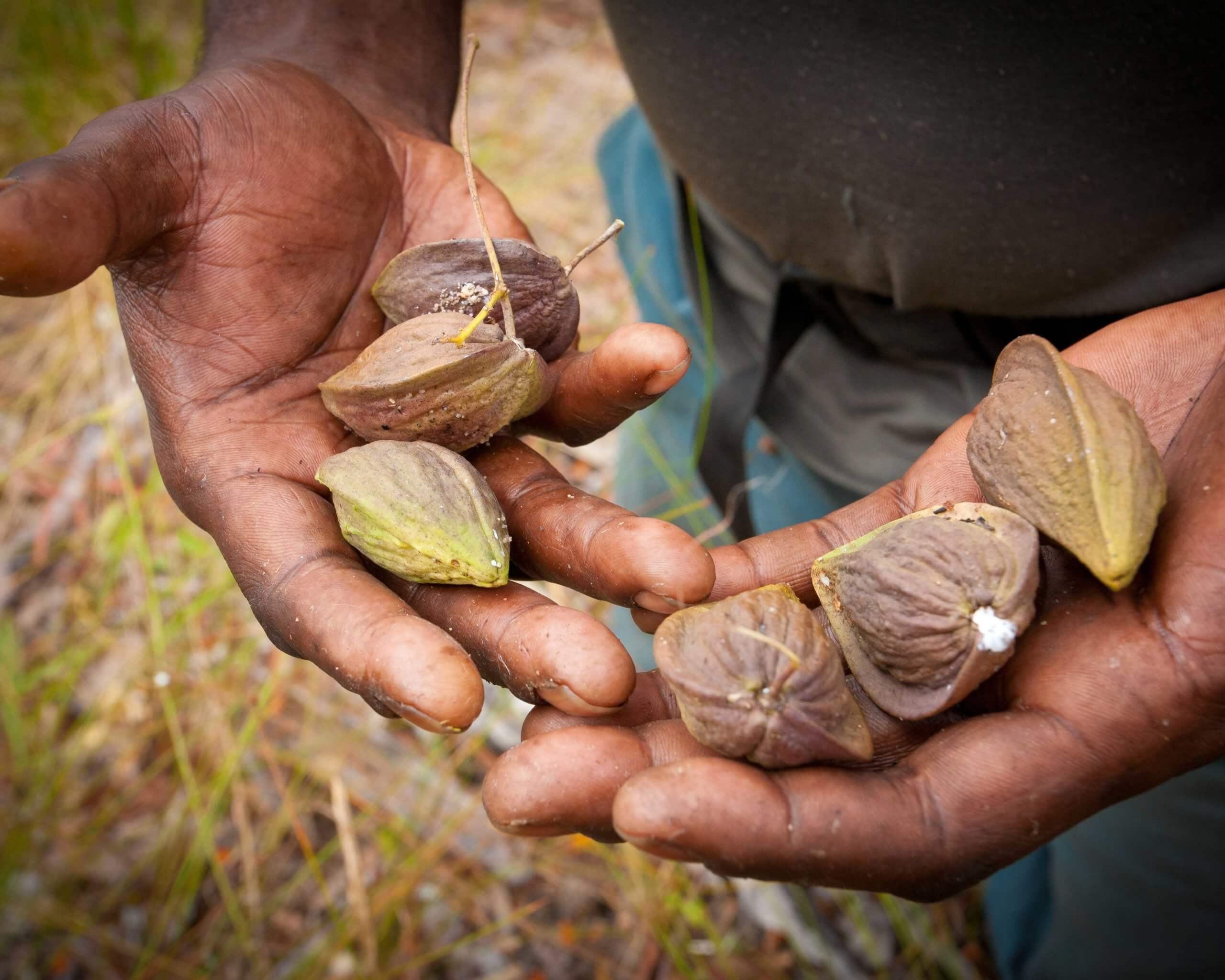 Understanding Australian Aboriginal Culture | Go Live It Blog